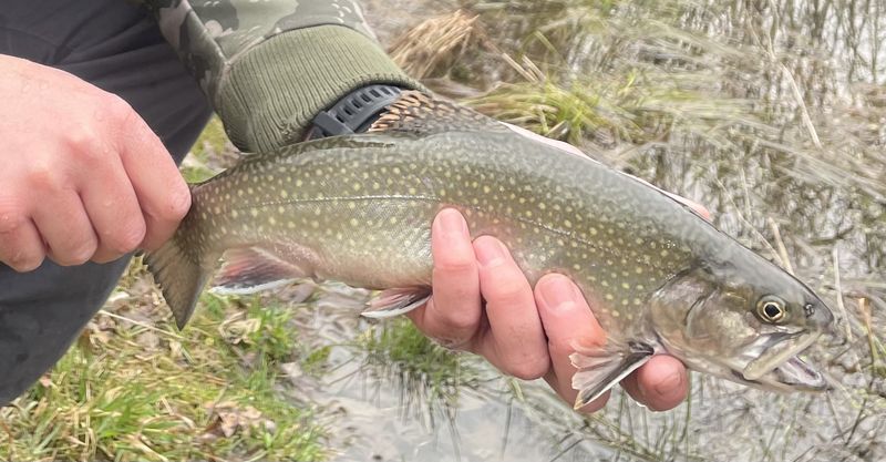 Contact – Finger Lakes Fly Fishing