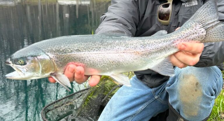 Finger Lakes Fly Fishing – Guided fly fishing trips to Finger Lakes ...